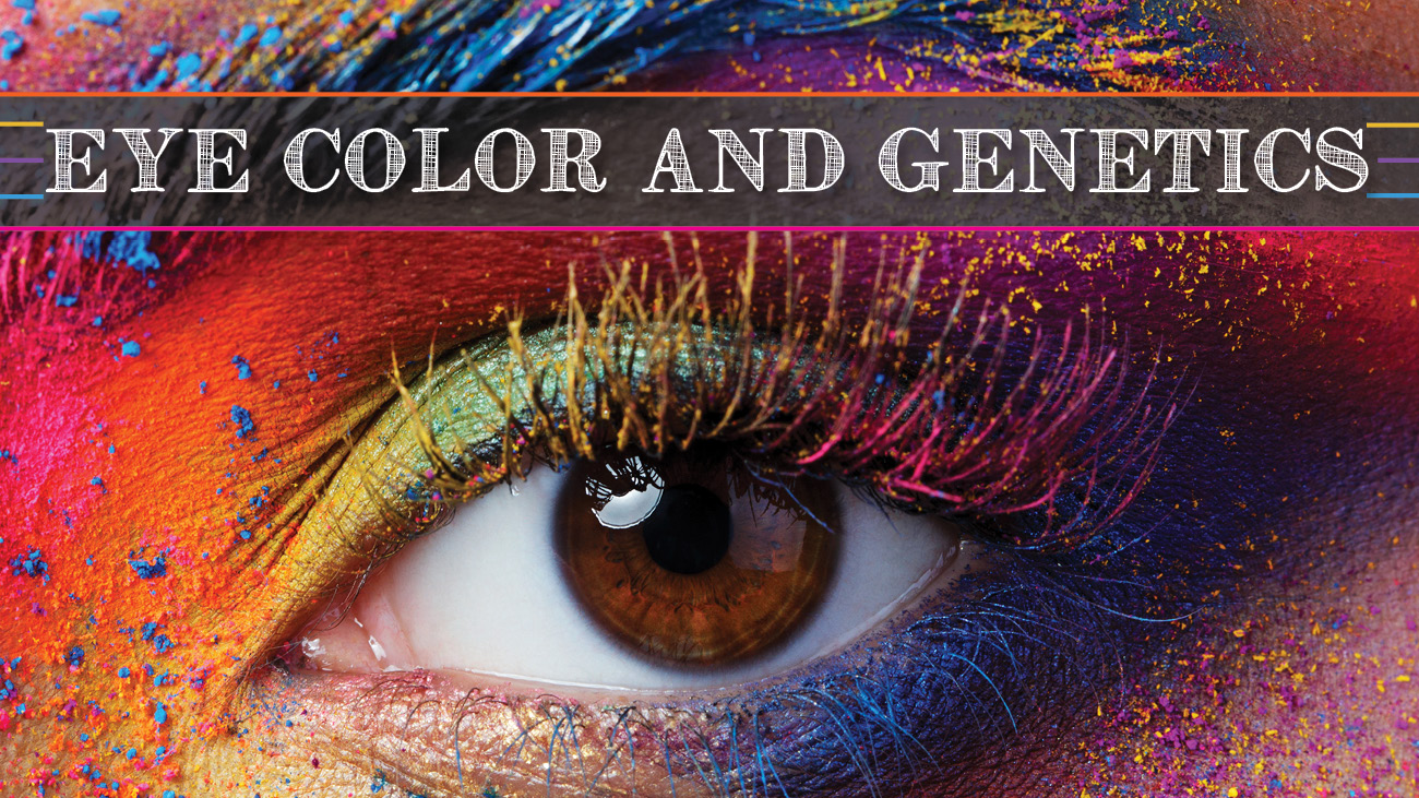 Eye Color- Melanin Pigmentation Determines Eye Color
